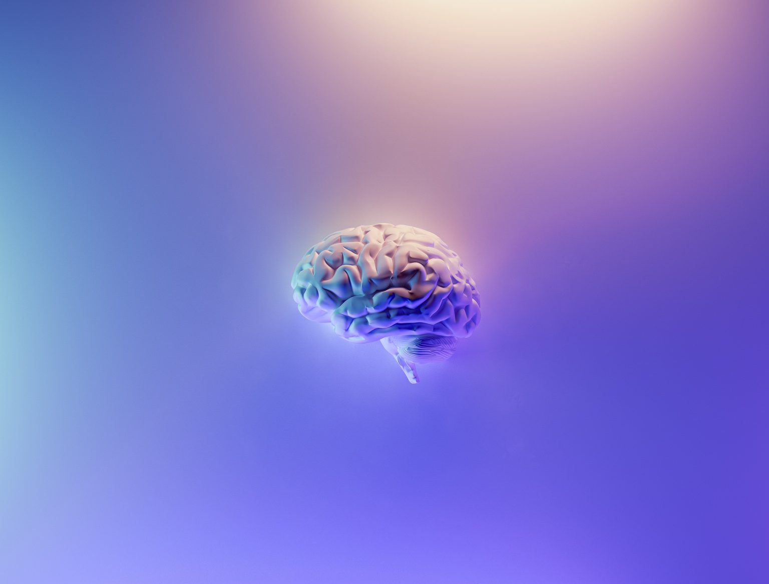 How Do Neurons Connect With Each Other? – Special Programme in Science