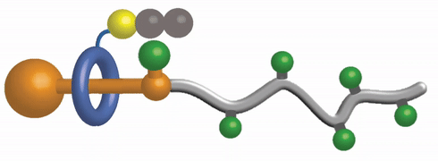 Dumbbell-Shaped Machine Decodes Polystyrene – Special Programme in Science